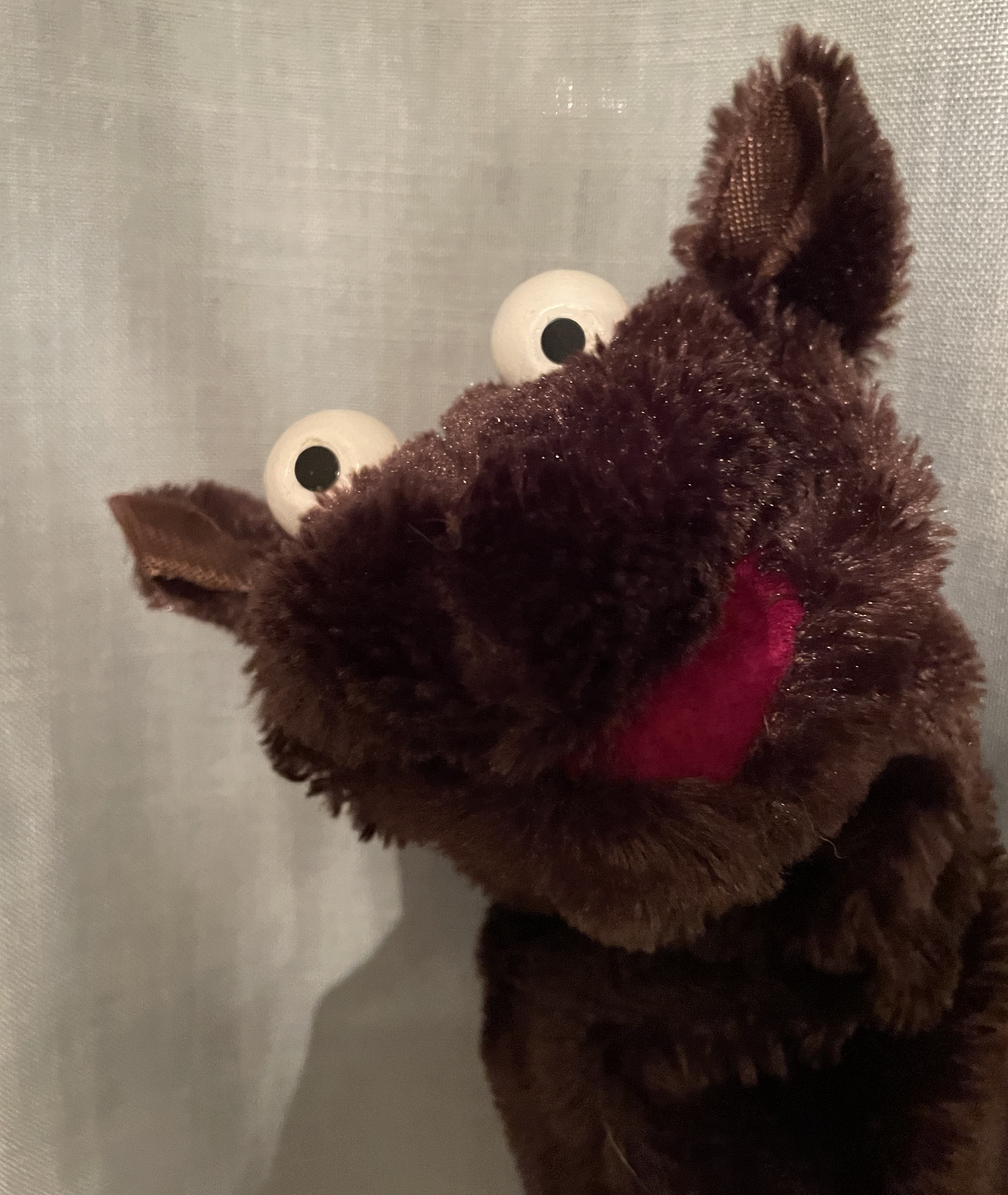 Puppets! – Critter Lab